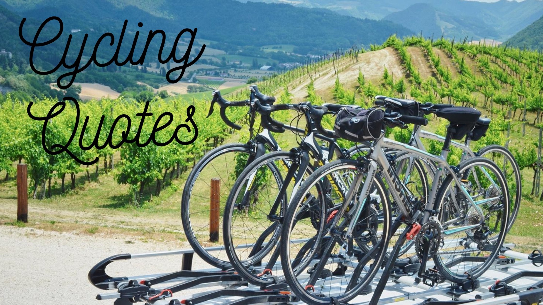 18 Quotes About the Joy of Cycling