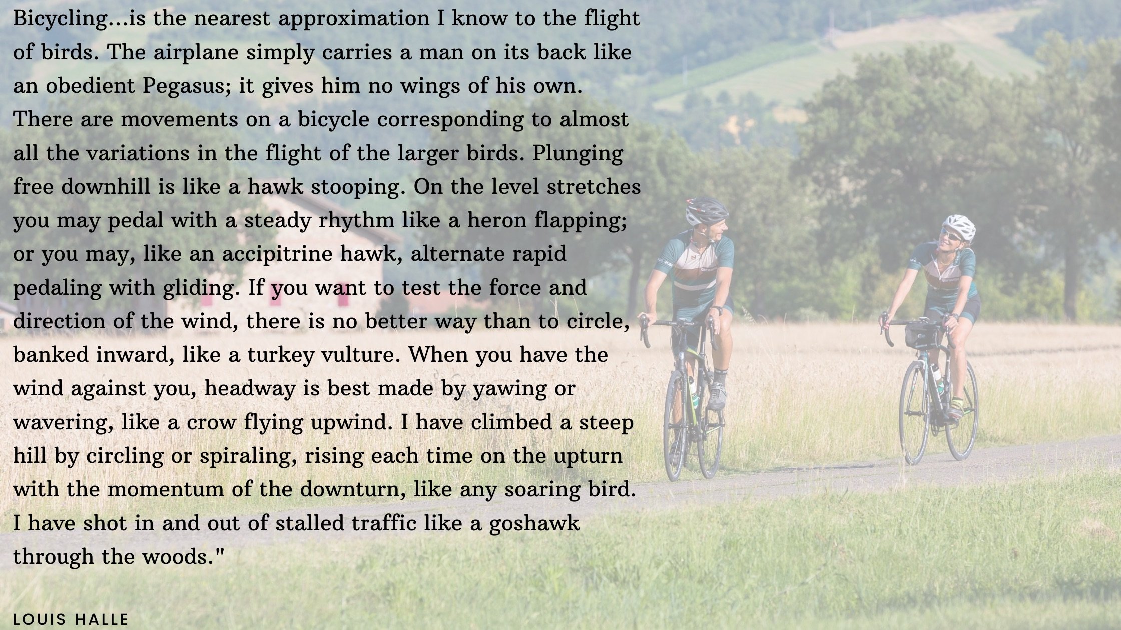 18 Quotes About the Joy of Cycling