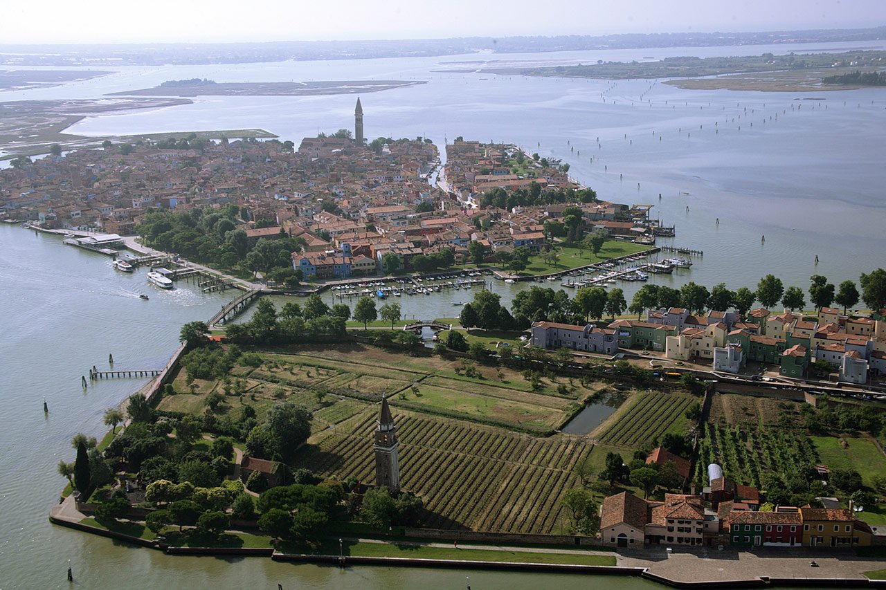 The Vineyard of Venice