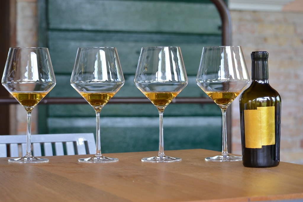 The Vineyard of Venice