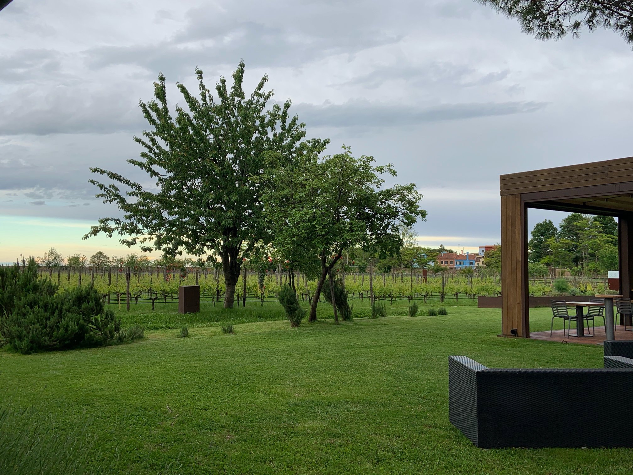 The Vineyard of Venice